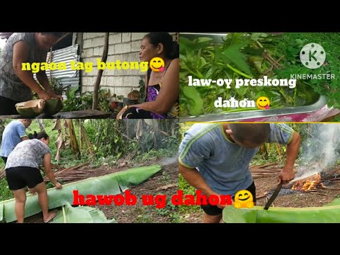 A DAY IN OUR PROVINCE LIFE🤗NAPALAW NGA SUMAN🤣FRESH BUKO😋HAWOB MIG DAHON ...