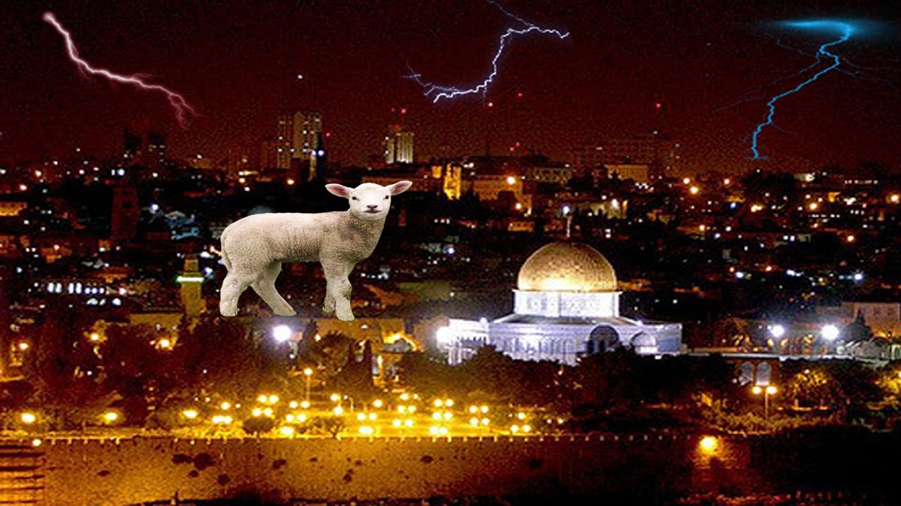 Temple Mount Fighting Over Jewish Animal Sacrifice - YouTube
