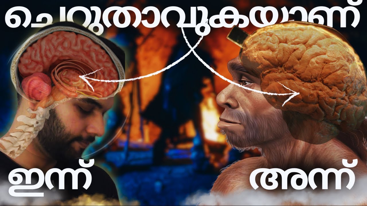 നമ്മുടെ BRAIN ചുരുങ്ങുകയാണ് ? 😧| Brain Shrinking | Explained ...