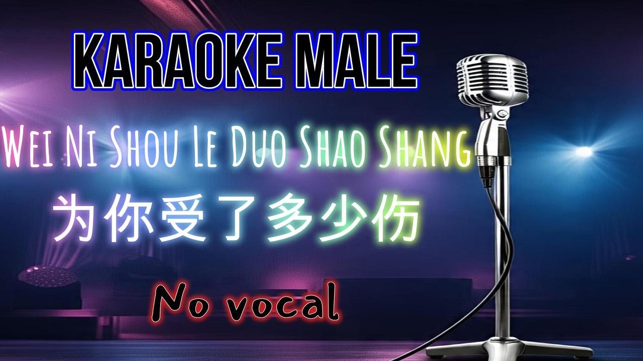 Karaoke MALE Wei Ni Shou Le Duo Shao Shang - 为你受了多少伤 No Vocal 伴奏版 - YouTube