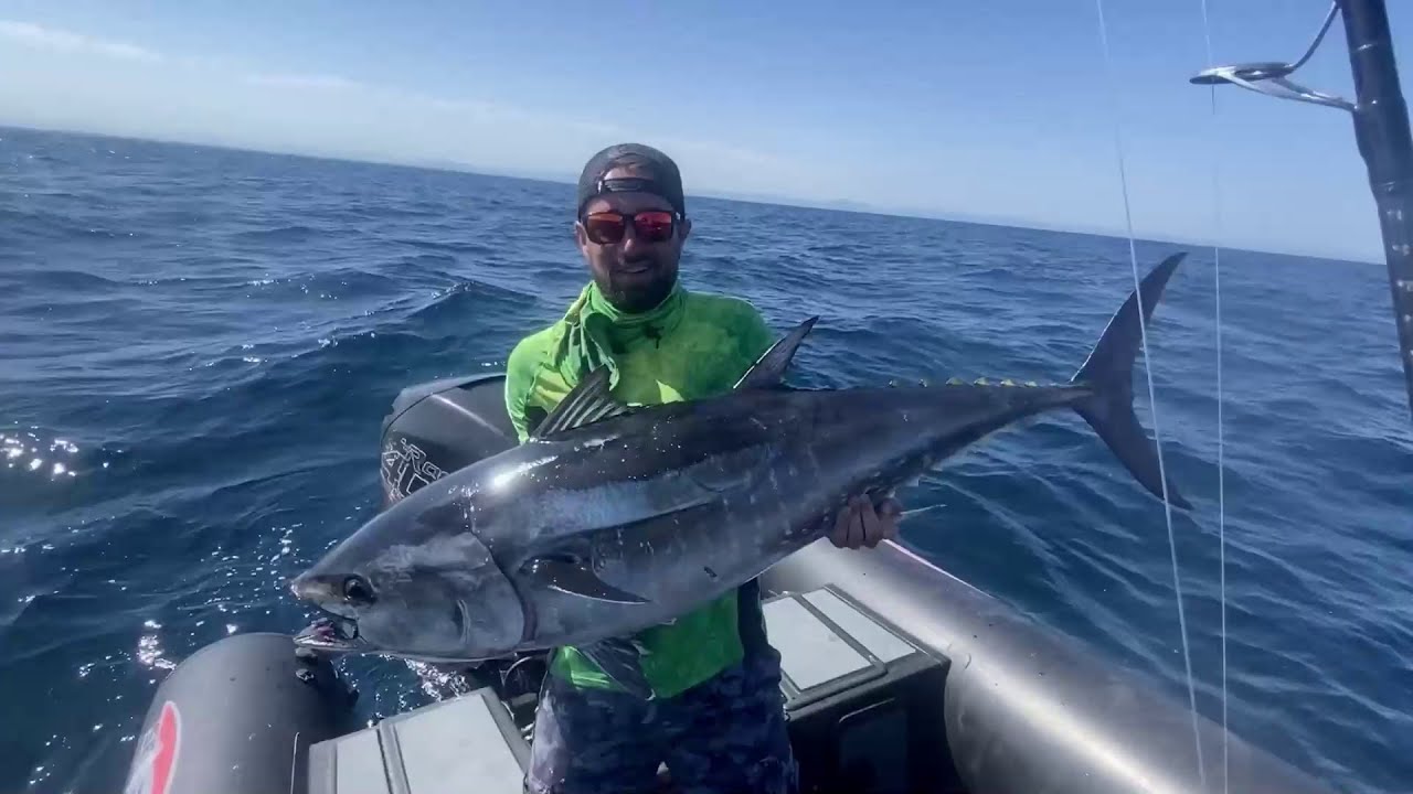 Episode 13 - Bluefin tuna Topwater Fishing - YouTube
