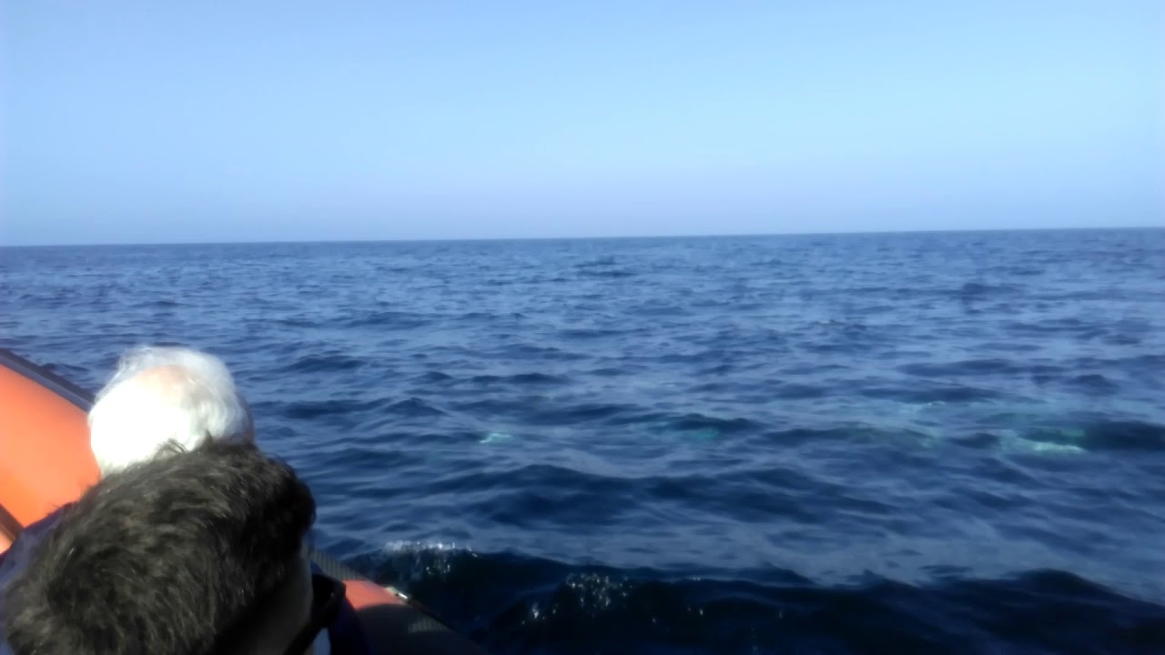 Out On The Ocean Explorer YouTube out-on-the-ocean-explorer-youtube
