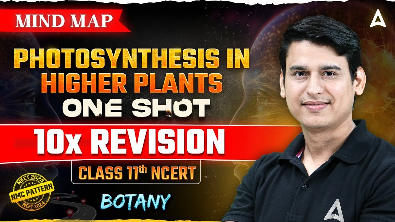 PHOTOSYNTHESIS IN HIGHER PLANTS CLASS 11 MIND MAP | NEET 2024 BOTANY ...