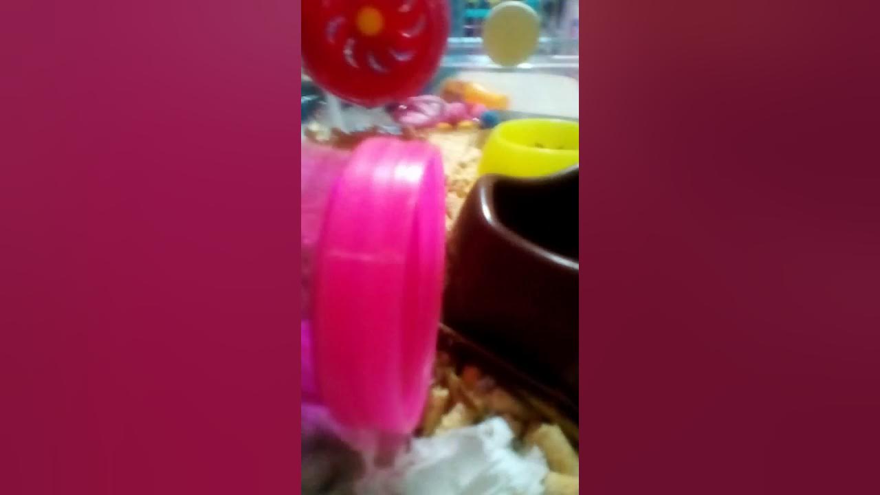Попо - YouTube