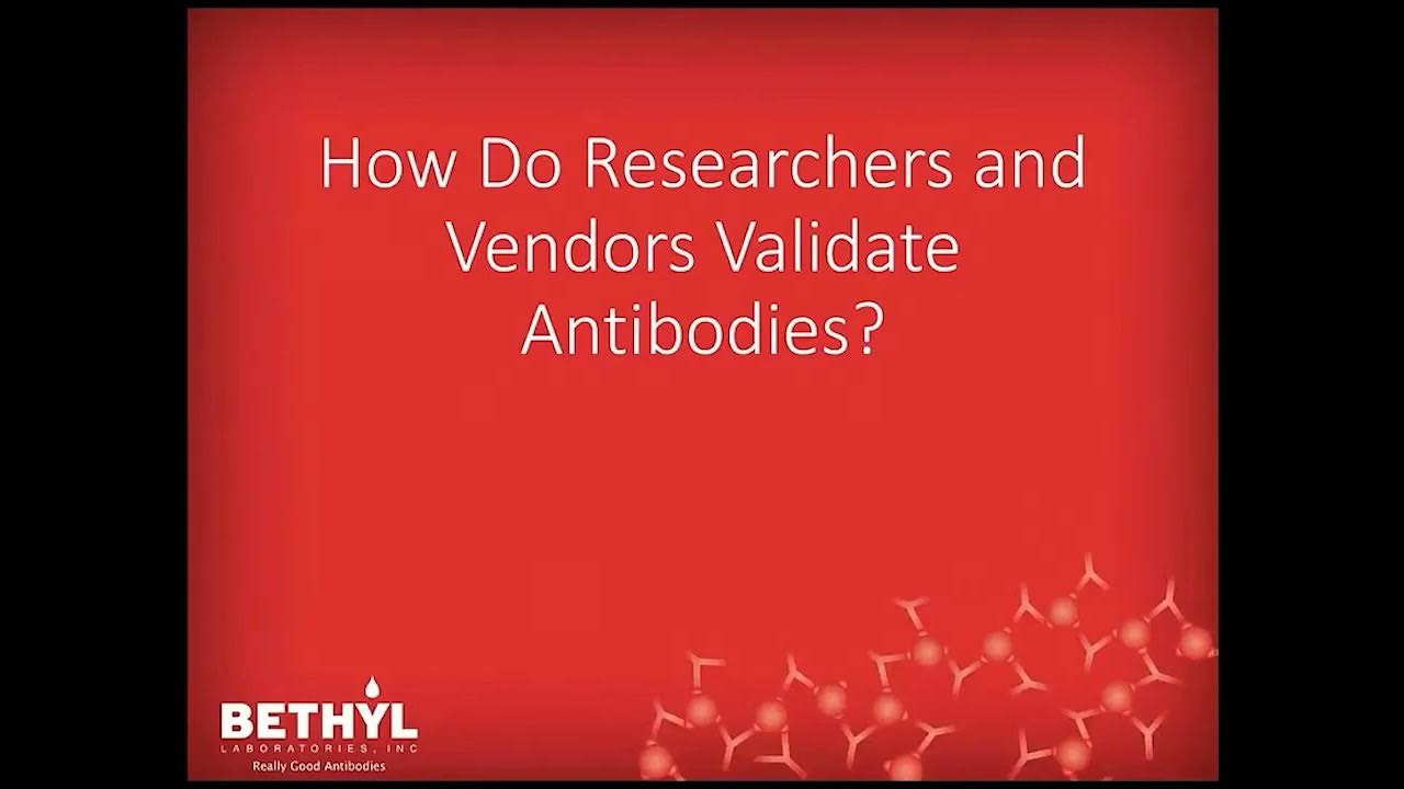 Antibody Validation for Successful Immunohistochemistry and Multiplex Immunofluorescence - YouTube