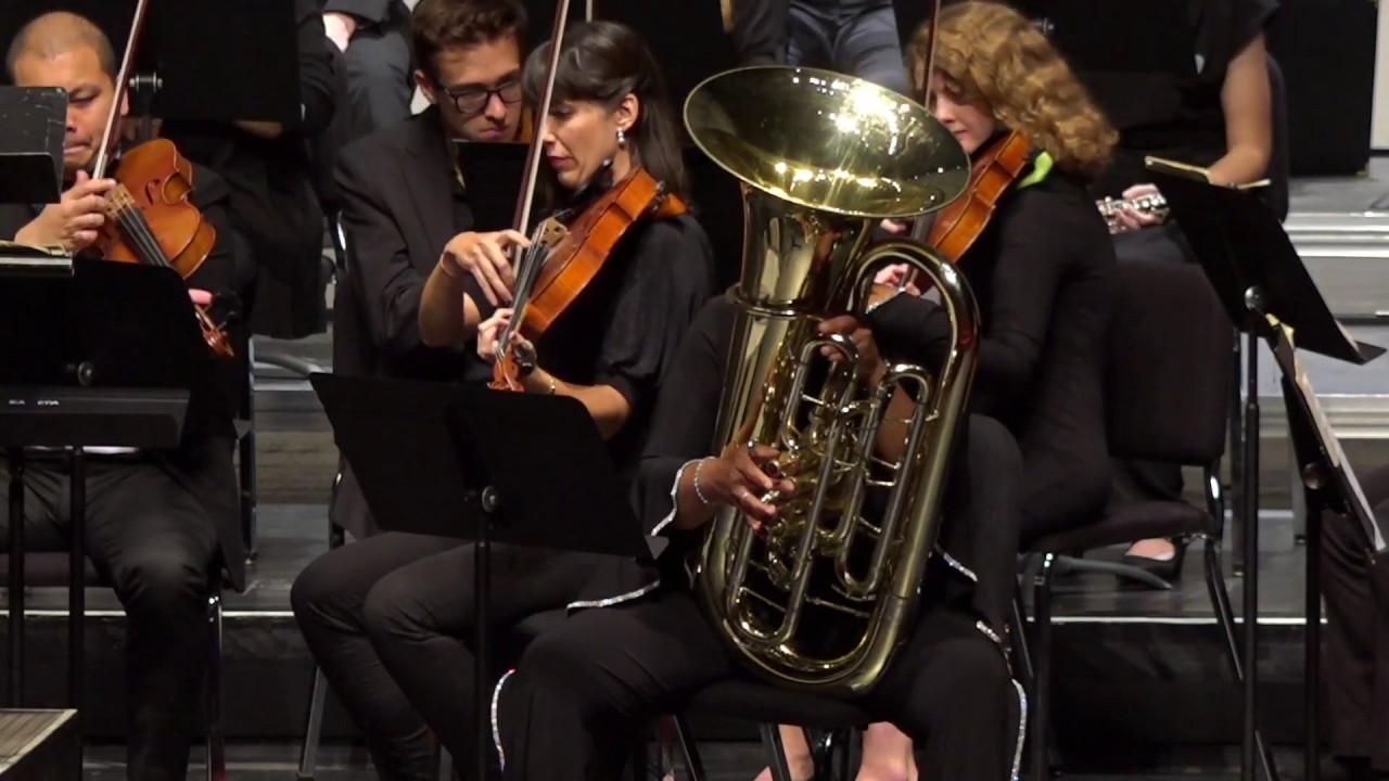 Orchestra Tuba Player