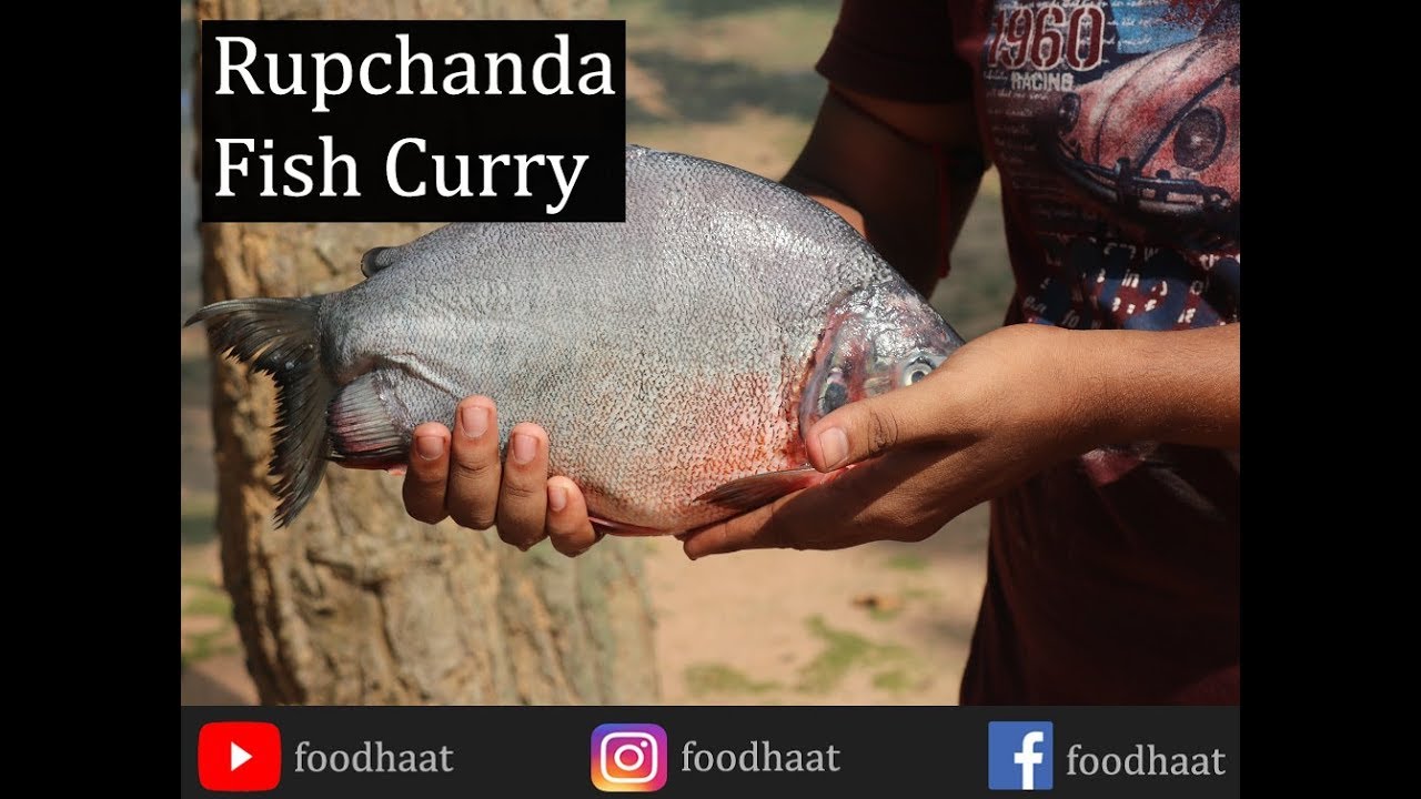 Rupchanda Fish Curry Recipe | Red Pomfret Fish Curry | Bengali ...