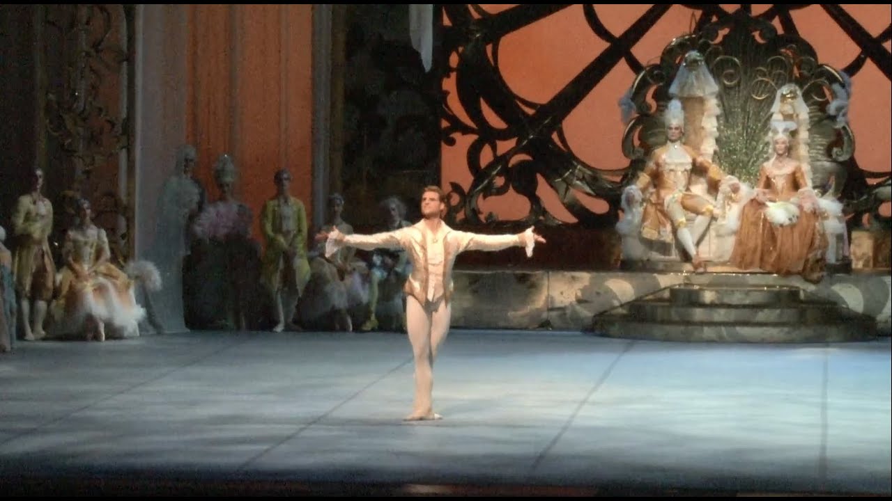 Sleeping beauty ballet, Prince Desire Variation - Michal Krcmar ...