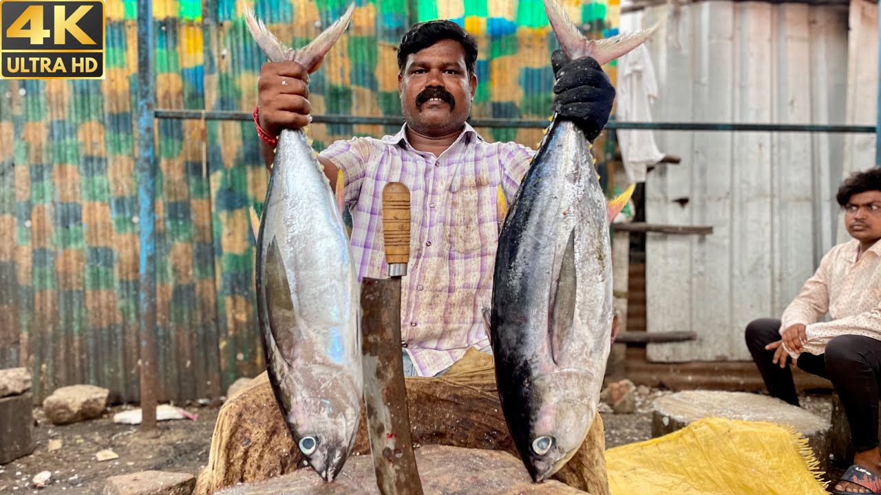 | KASIMEDU YELLOW FIN TUNA FISH CUTTING | FRESH FISH CUTTING VIDEO |🔪💥 ...