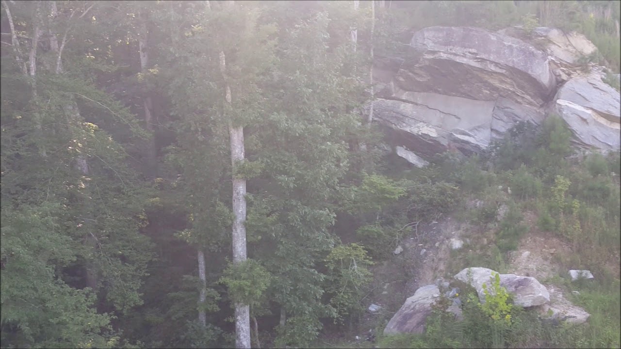 It's All Brevard's Fault, Part 2 - YouTube