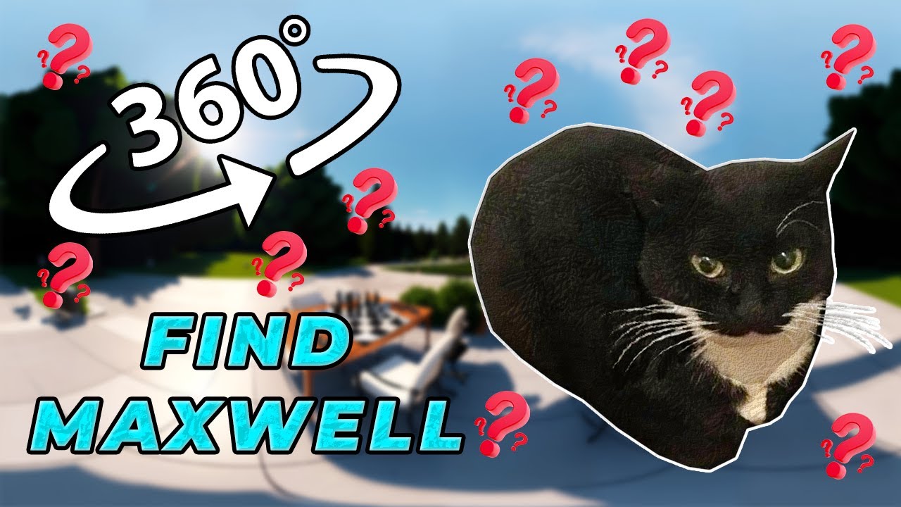 Maxwell The Cat 360° - FIND MAXWELL| VR/360 Video 🔎 - YouTube