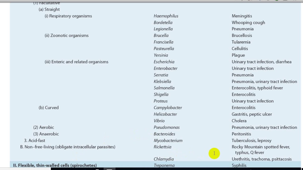 chapter 5 classification of medically important bacteria دكتور محمد ...