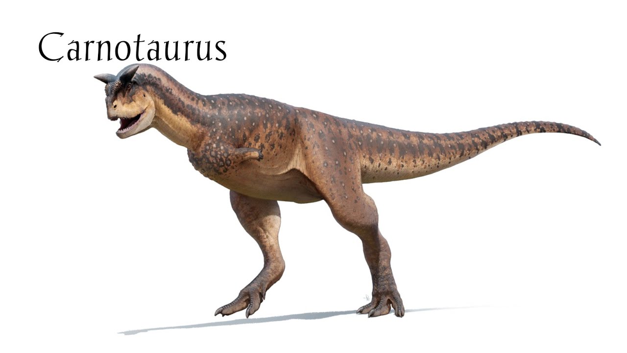 Carnotaurus Sounds – The Horned Predator of the Cretaceous! - YouTube