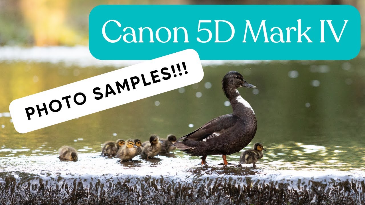 Canon EOS 5D Mark IV Photo Samples #canon5dmarkiv - YouTube