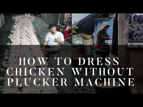 STEP BY STEP PROCEDURE SA PAG D-DRESS NG MANOK | WORTH TO WATCH! - YouTube