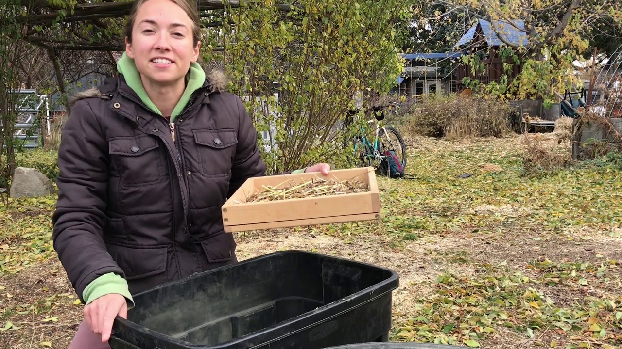 Seed Cleaning on the Farm - YouTube