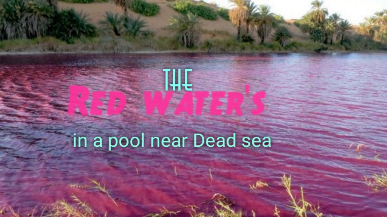 The Red Water mystery in a pool near Dead sea - YouTube