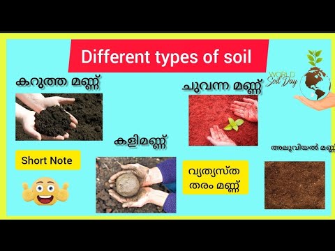 Different Types of SOIL in Malayalam 💯👍 - YouTube