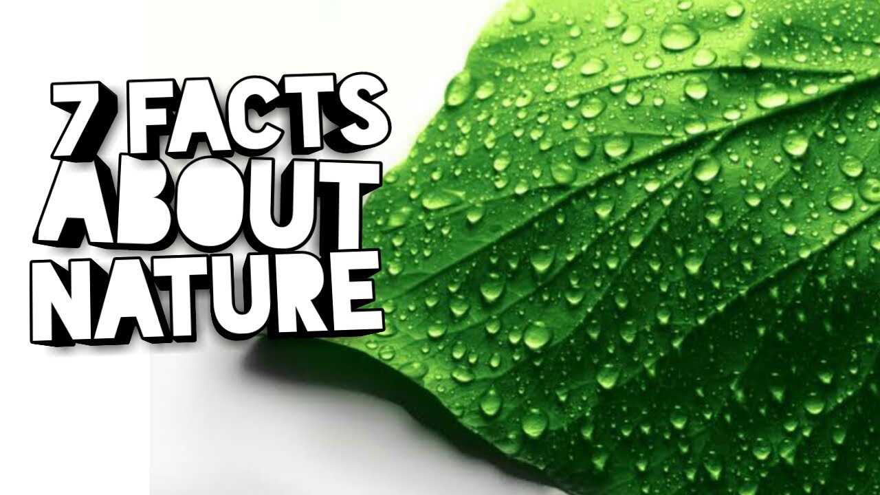 7 ASTONISHING FACTS ABOUT NATURE YOU PROBABLY DIDN T KNOW YouTube 7-astonishing-facts-about-nature-you-probably-didn-t-know-youtube