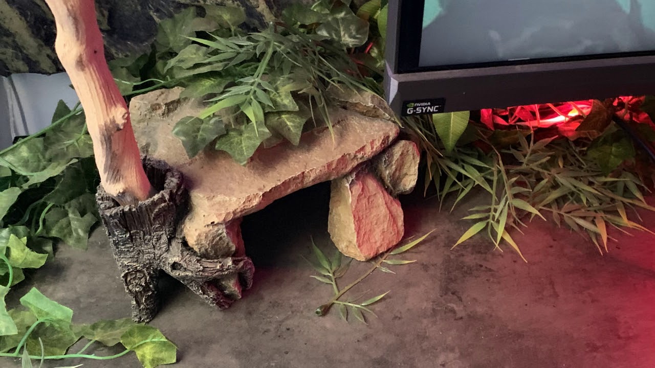 Mon espace Gaming - YouTube