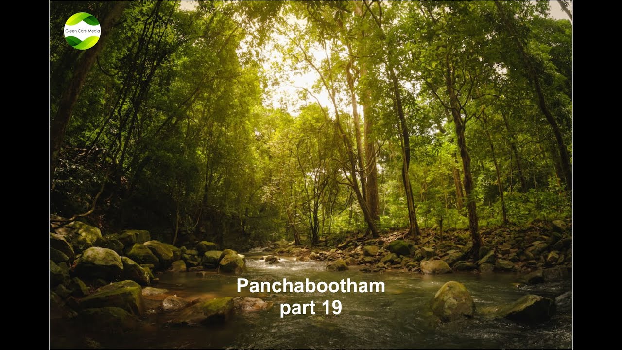 panchabootham part 19 | Forest - YouTube