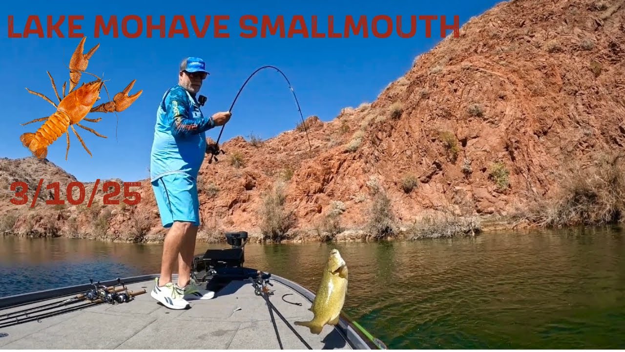 Pre-Spawn Smallmouth Lake Mohave....I love Mondays!!!!!! - YouTube