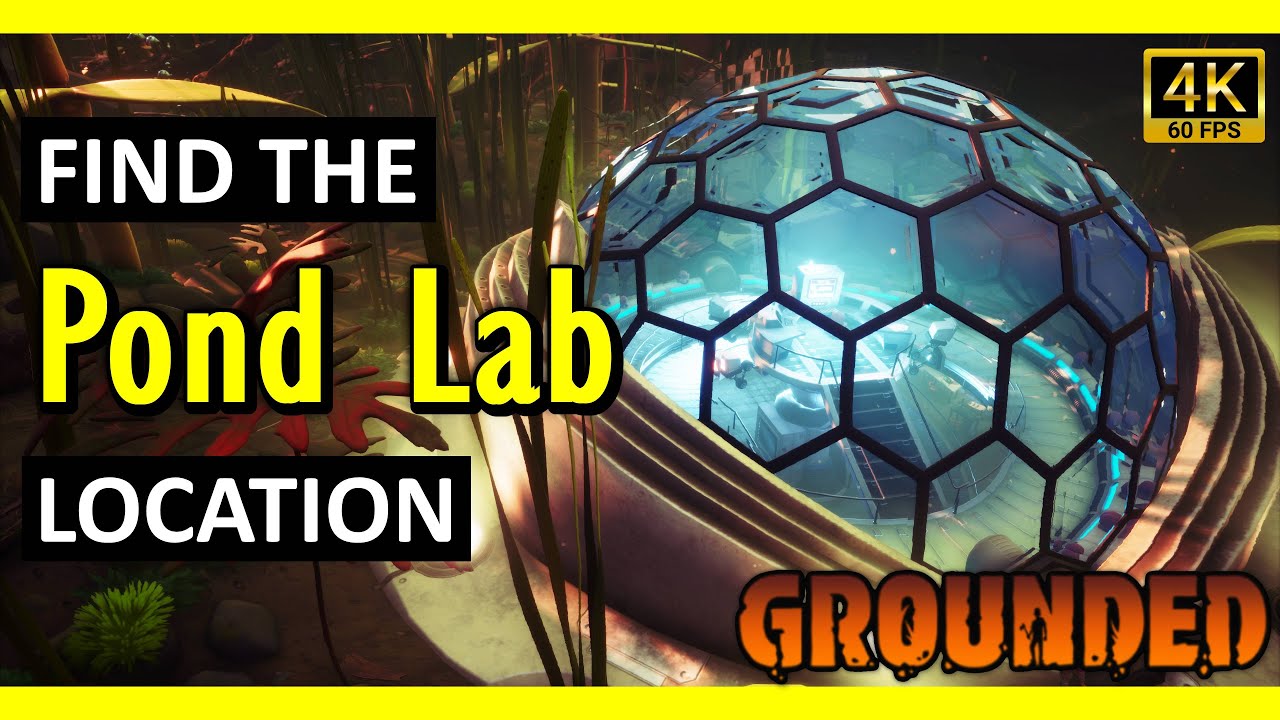 Pond Lab Location | Grounded (2025) - YouTube