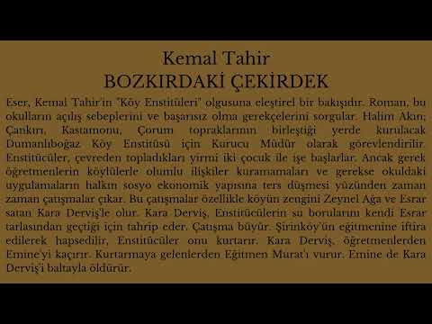 AYT EDEBİYAT Eser Özetleri | Kemal Tahir BOZKIRDAKİ ÇEKİRDEK