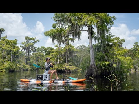 Kayak Fishing - HUGE ALLIGATORS EVERYWHERE! - YouTube