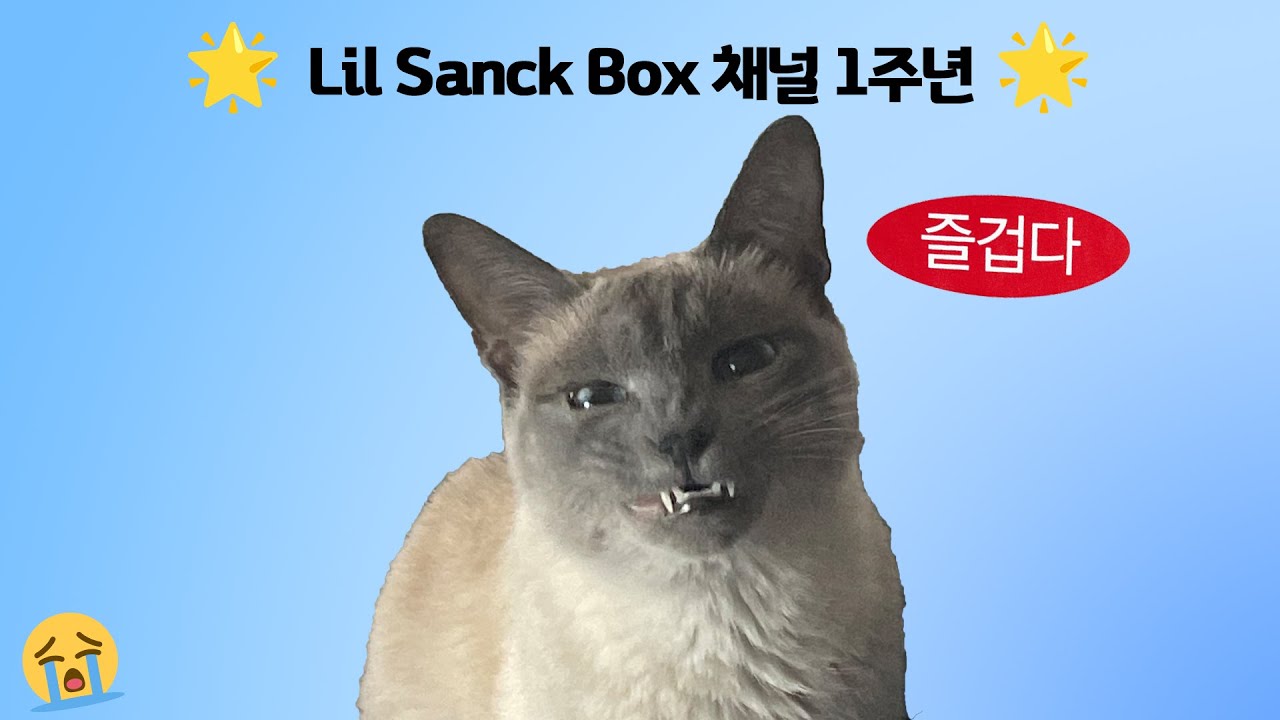 🌟 Lil Snack Box 1주년 tmvptif 🌟 - YouTube