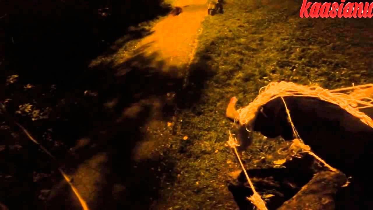 Mutant Giant Spider Dog SA Wardega - YouTube