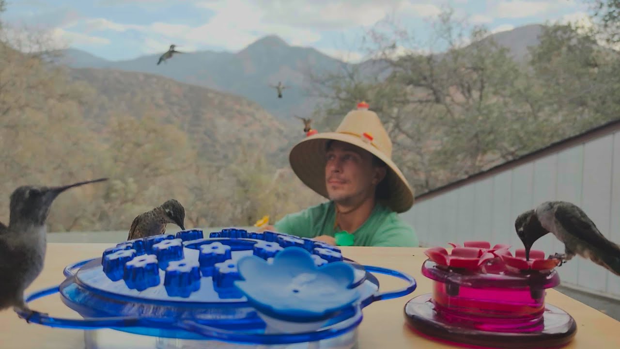 Home-Made Hummingbird Hat - YouTube
