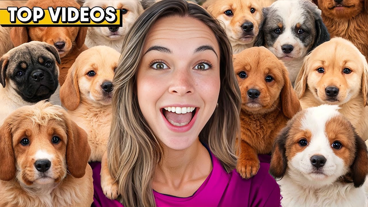 24 Hours of Laughing at My Life Choices | Pierson - YouTube