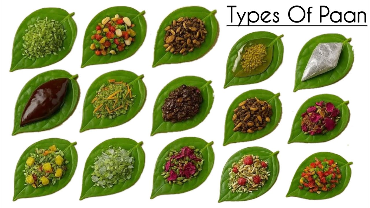 Types Of Paan | The Viral Food | Different Types Of Paan | Paan - YouTube