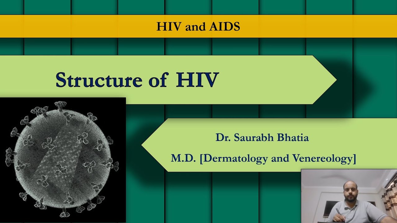 Structure of HIV: RNA, Proteins, Matrix shell, Envelope - YouTube