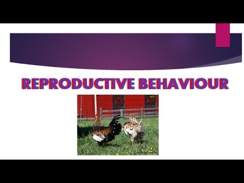 VIDEO ON REPRODUCTIVE BEHAVIOUR by Gloria Robert - YouTube