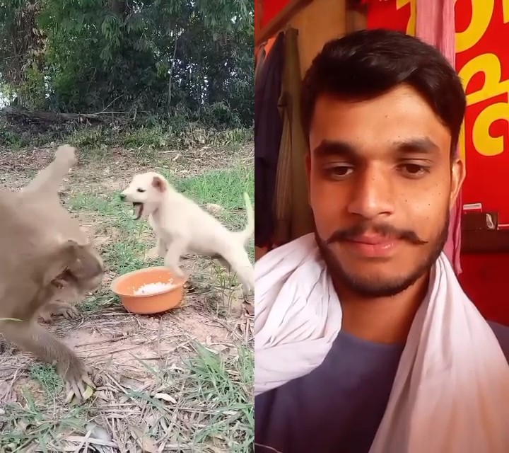 #monkey#na#dog#ko#mara #youtubeshorts#youtubevideo #realfools# ...