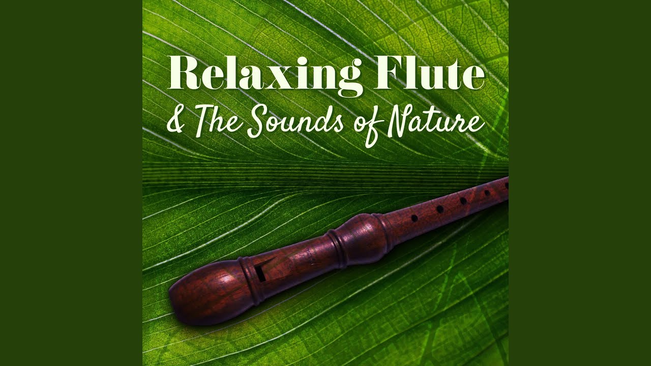 Shimmering Night - YouTube Music