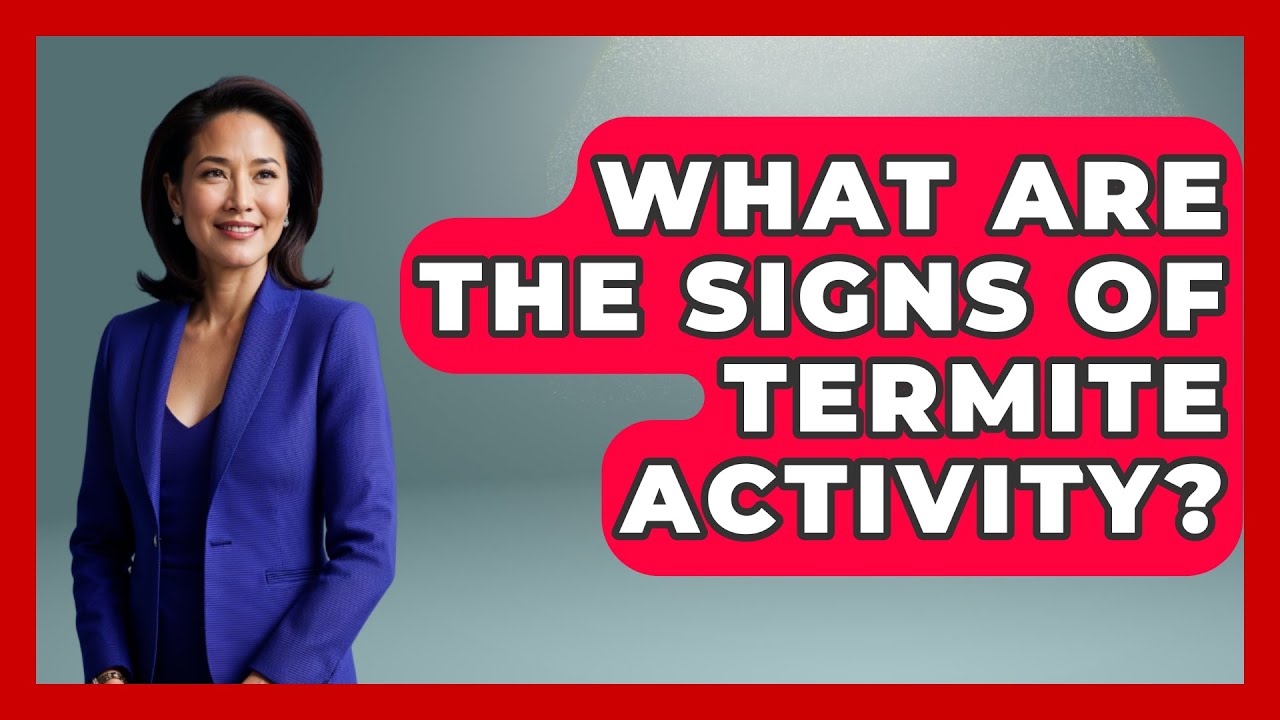 What Are the Signs of Termite Activity? | Insects and Invaders - YouTube