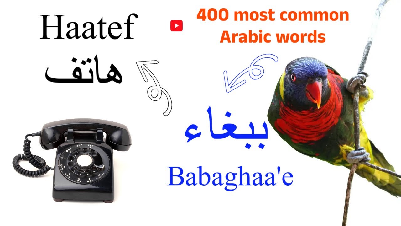 Practice Arabic - The 400 most common words in Arabic with pictures ...