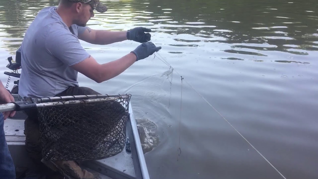 Summer time! Trotlining - YouTube