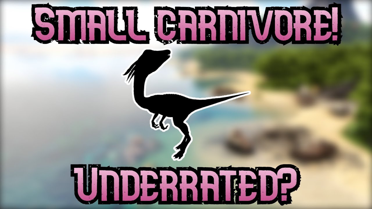 The Top 10 Best Small Carnivores And Underrated Tames! - YouTube