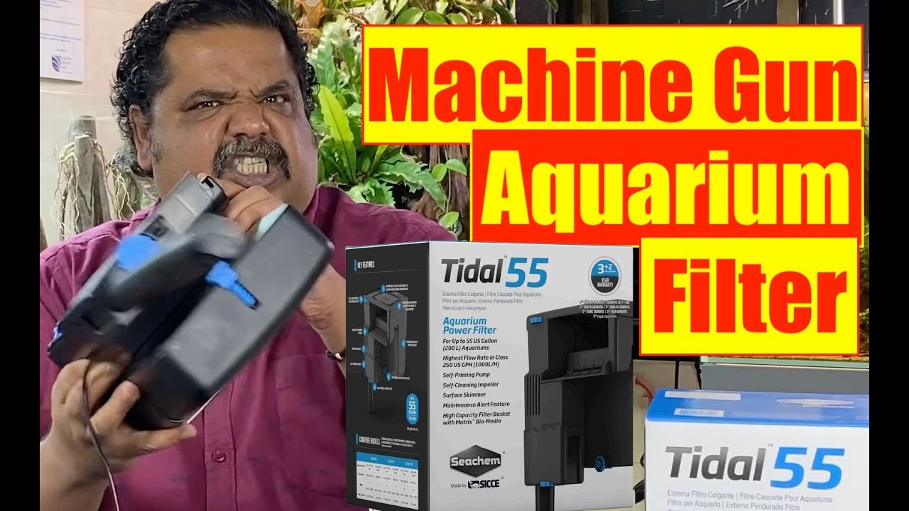 GEN Z - Aquarium Filter | HOB Filter | Seachem Tidal | Mayur Dev ...