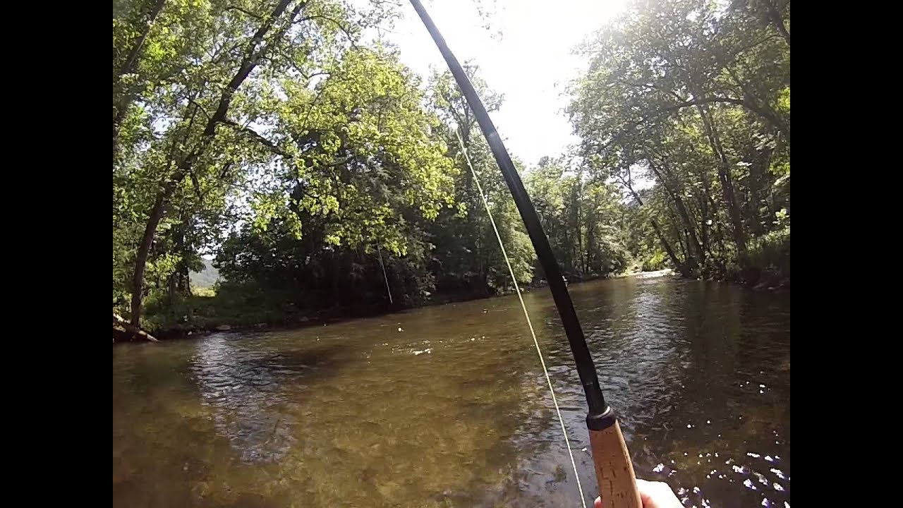 FLY FISHING TROPHY TROUT CHEROKEE NORTH CAROLINA - YouTube