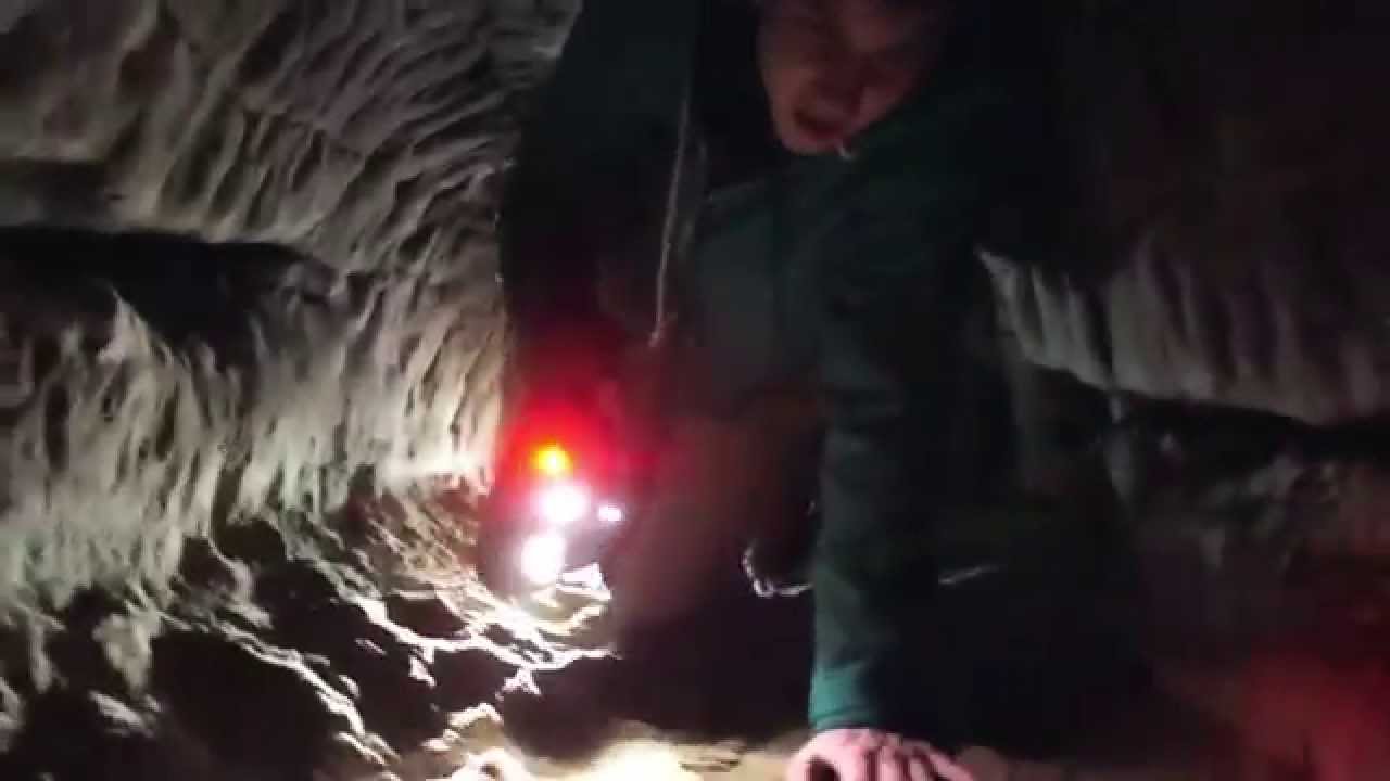 Night Hunger - YouTube