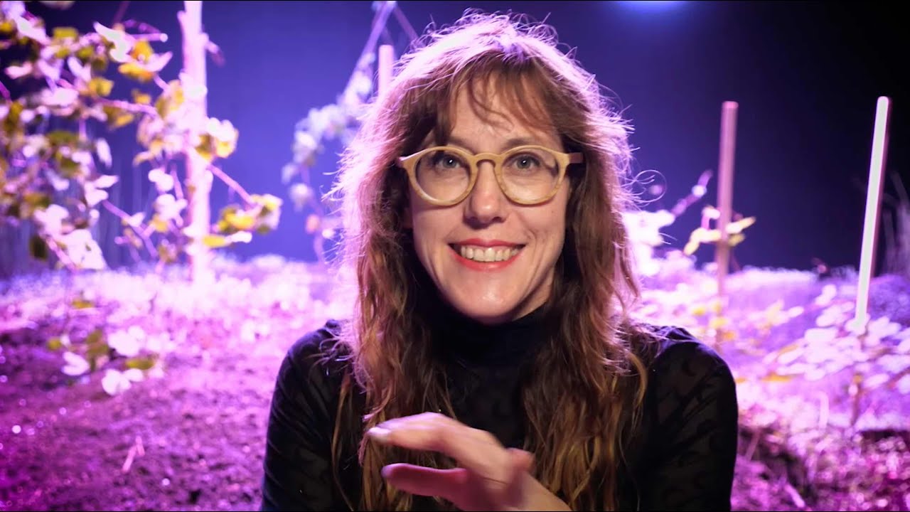 Jessica Segall: Reverse Alchemy on the Gold Coast | Sept - Nov 2021 ...