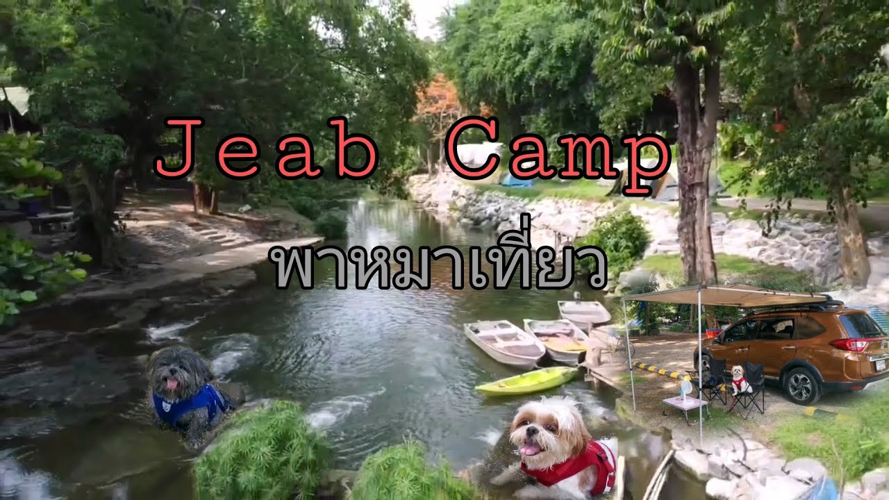 Ep15. เจี๊ยบแคมป์ (Jeab Camp) พาหมาเที่ยว สระบุรี - YouTube
