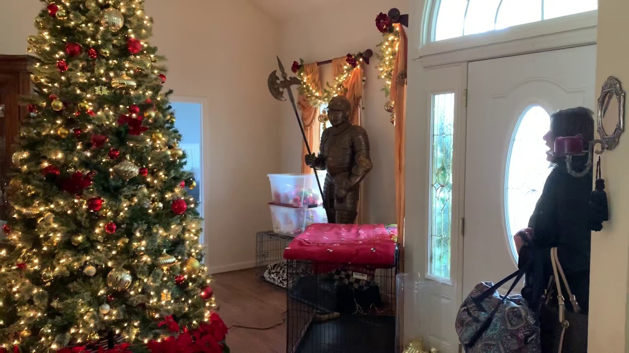 Michelle getting her new Christmas Tree - YouTube