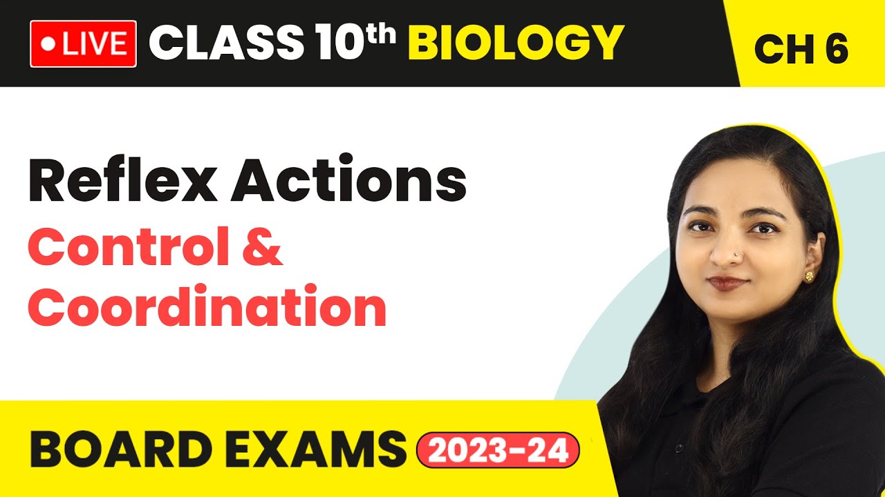 Reflex Actions - Control and Coordination | Class 10 Biology Chapter 6 ...