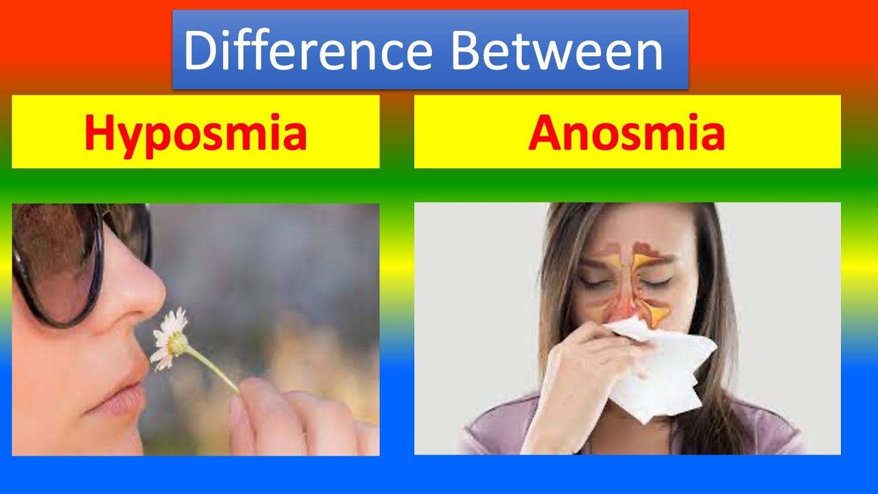 Difference between Hyposmia and Anosmia - YouTube